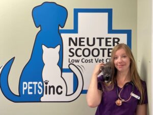 Veterinary Services - PETSinc. | Pet Adoption and Affordable Vet Clinic